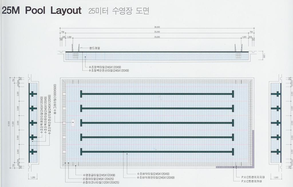 올림픽 사이즈 수영장 크기